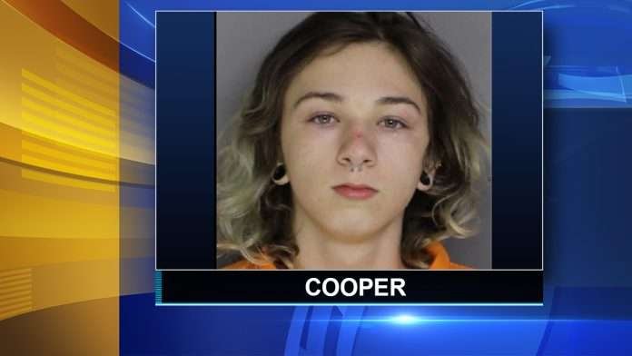 Ash Cooper Murders Morgan Connors